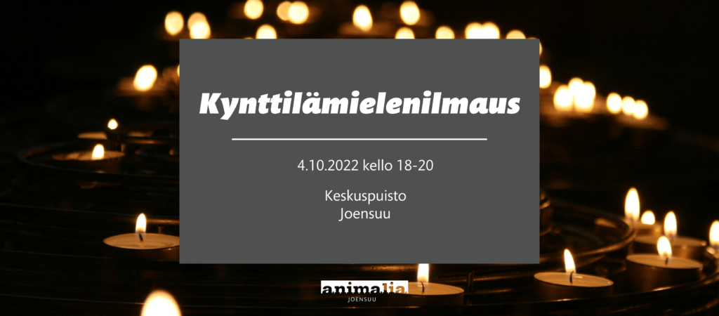 Kynttilämielenilmaus Joensuu - Animalia